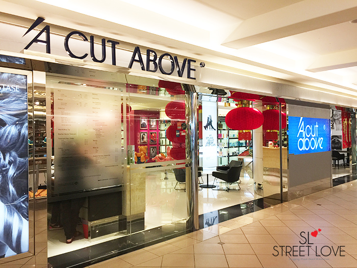 6 Inch Hair Cut and Coloring at A Cut Above | Street Love